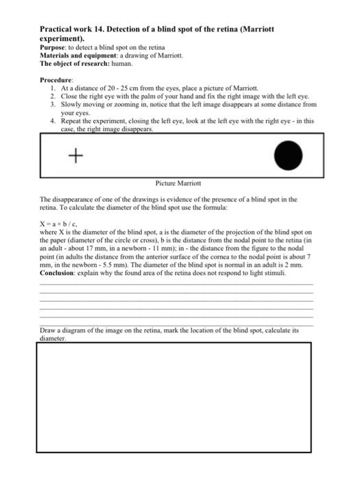 Practical work 14. Detection of a blind spot of the | Chegg.com