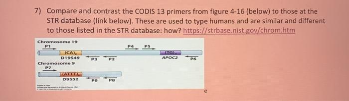 7) Compare and contrast the CODIS 13 primers from | Chegg.com