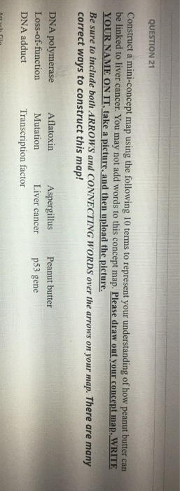 Solved QUESTION 21 Construct a mini-concept map using the | Chegg.com