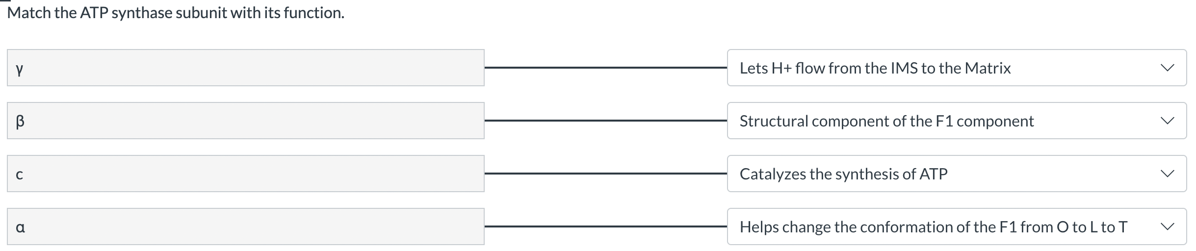 Solved Match the ATP synthase subunit with its function.Lets | Chegg.com