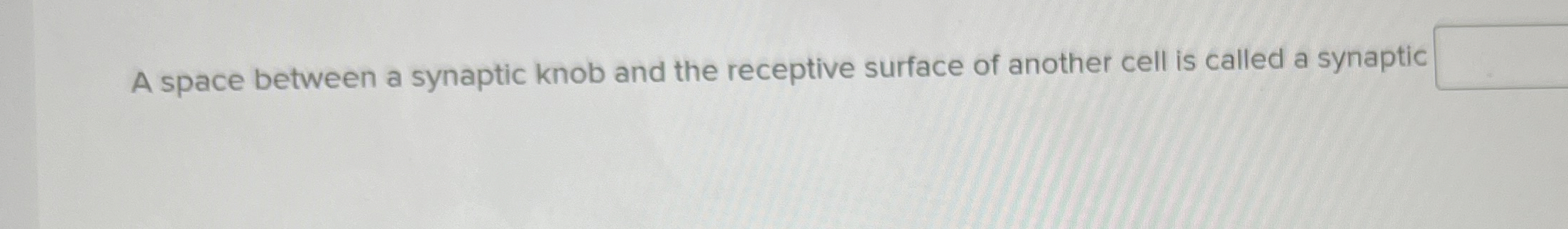 Solved A Space Between A Synaptic Knob And The Receptive