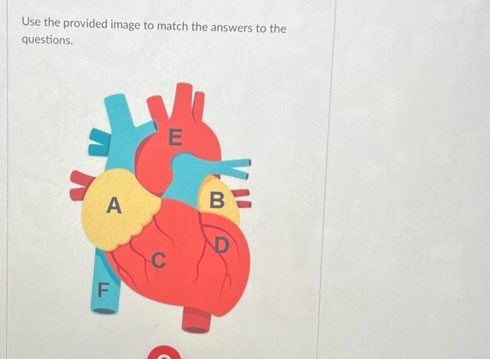 Solved Use the provided image to match the answers to the | Chegg.com