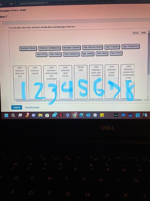 Solved answer with joint type, structural classification, | Chegg.com Solved answer with joint type, structural classification, | Chegg.com