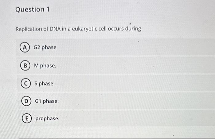 Solved Replication of DNA in a eukaryotic cell occurs during | Chegg.com