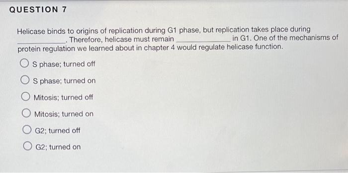 Helicase binds to origins of replication during G1 | Chegg.com