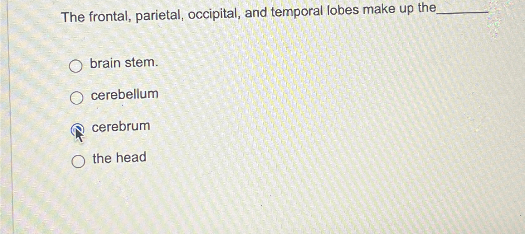 Solved The frontal, parietal, occipital, and temporal lobes | Chegg.com