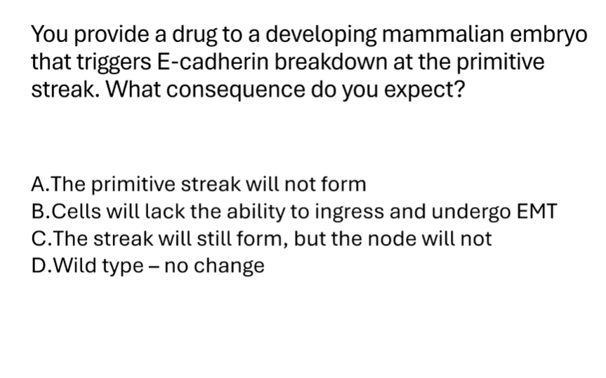 Solved You provide a drug to a developing mammalian embryo | Chegg.com