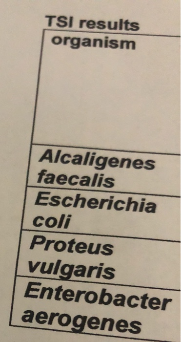 Solved TSI results organism Alcaligenes faecalis Escherichia | Chegg.com
