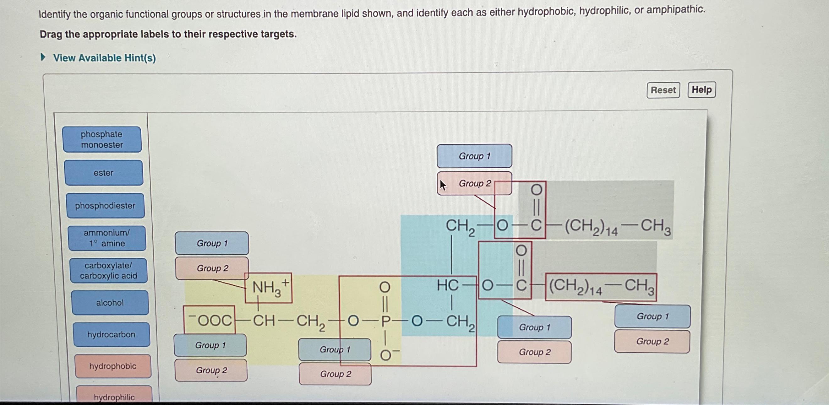 Identify the organic functional groups or structures | Chegg.com