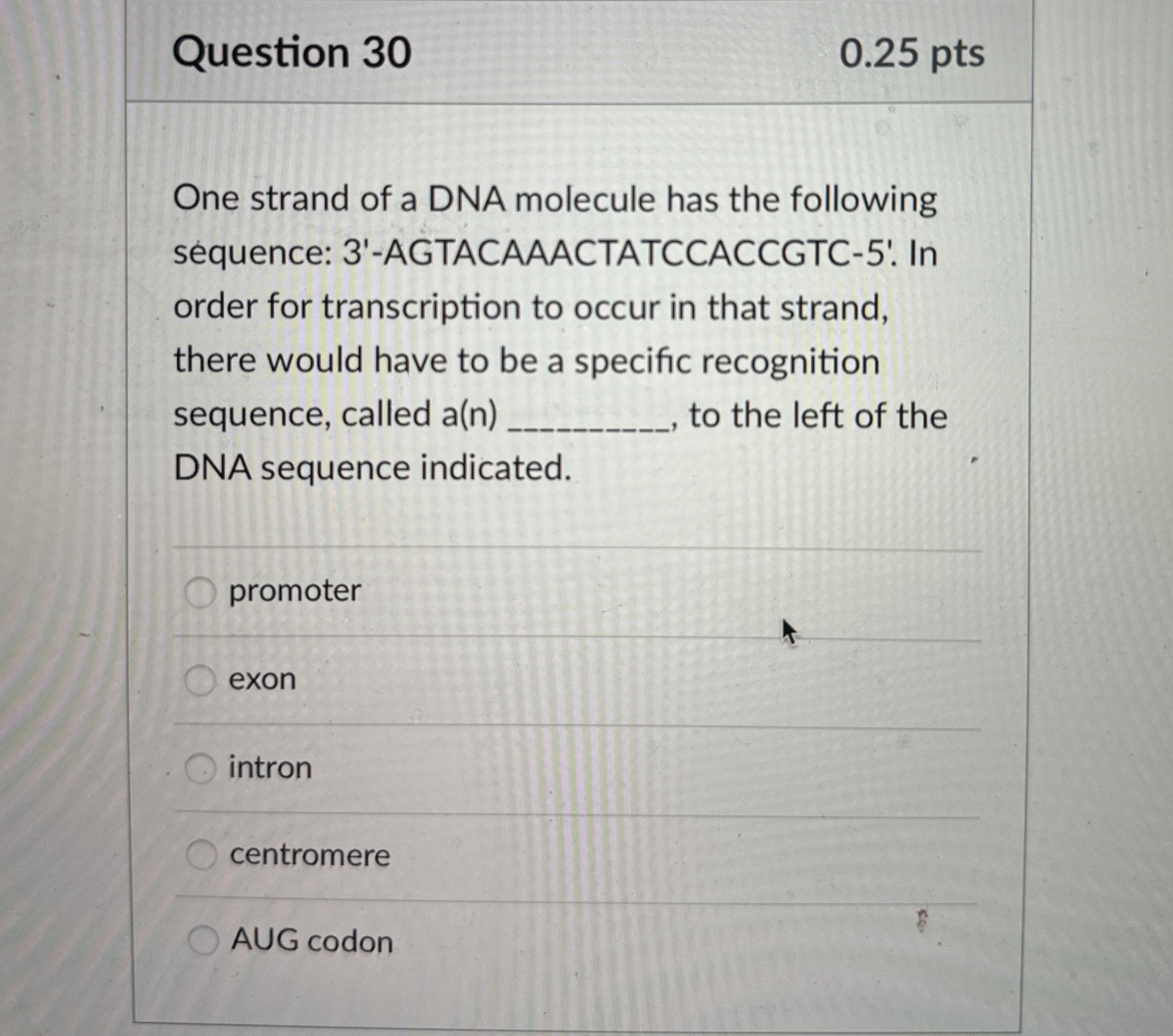 Solved Question 300.25 ﻿ptsOne strand of a DNA molecule has | Chegg.com
