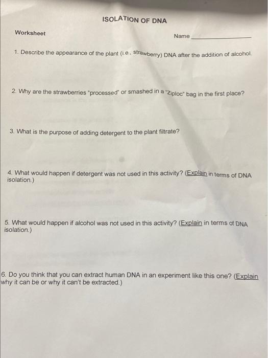 Solved ISOLATION OF DNA Worksheet Name 1. Describe the | Chegg.com