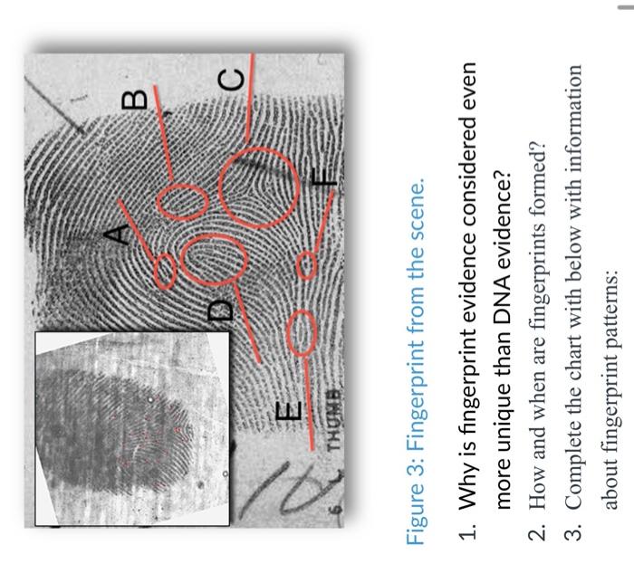 A burglary occurred in an area home while the | Chegg.com