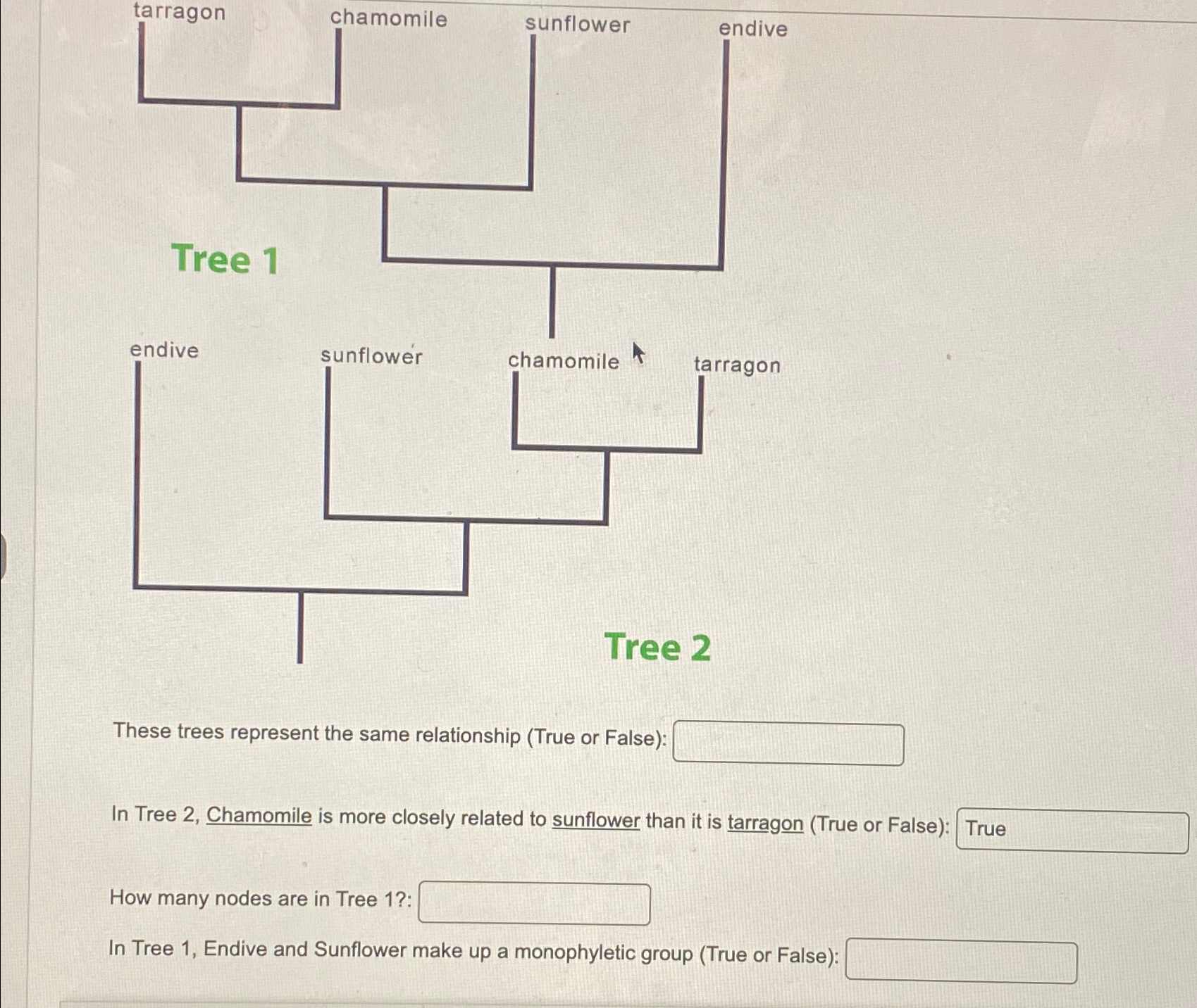 Solved These trees represent the same relationship (True or | Chegg.com