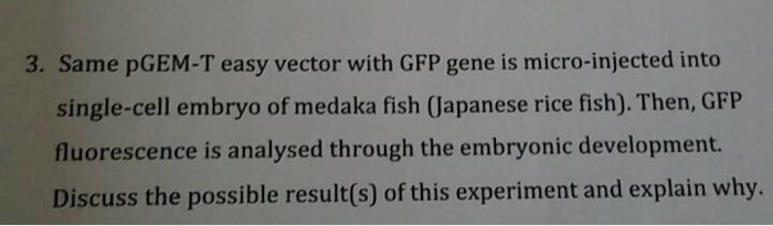 Solved 3. Same PGEM-T easy vector with GFP gene is | Chegg.com