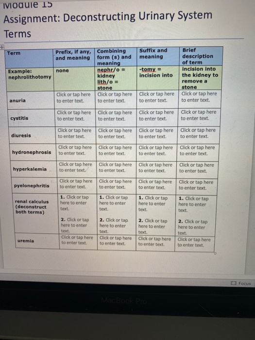 Solved Module 15 Assignment: Deconstructing Urinary System | Chegg.com