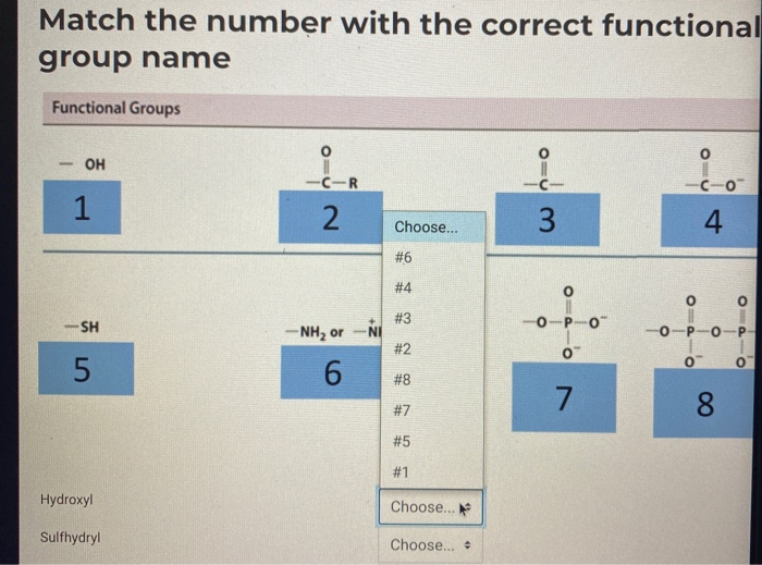 Solved Match the number with the correct functional group | Chegg.com