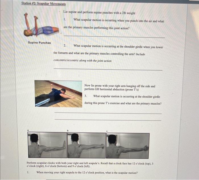 Solved Lie supine and perform supine punches with a 21 b | Chegg.com