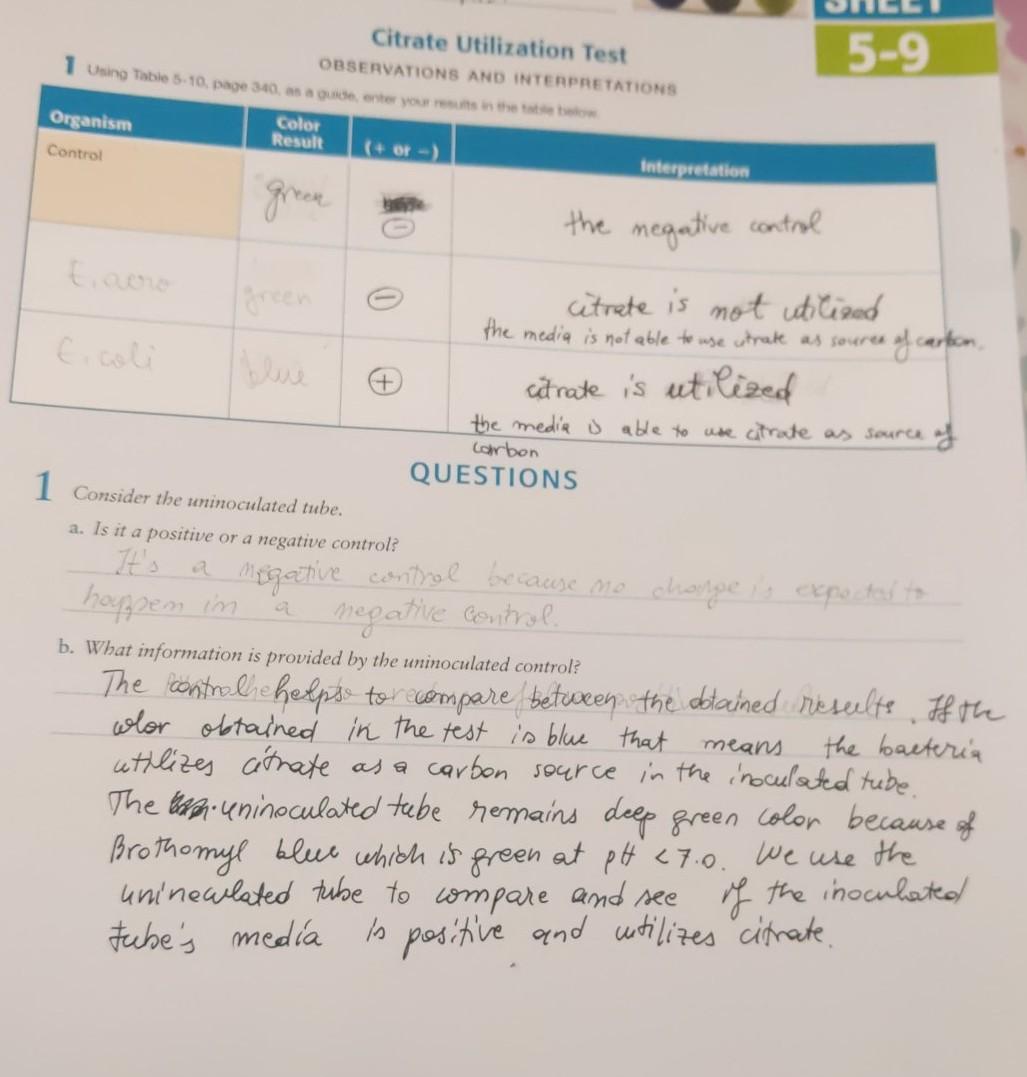 Solved 5-9 Citrate Utilization Test OBSERVATIONS AND | Chegg.com