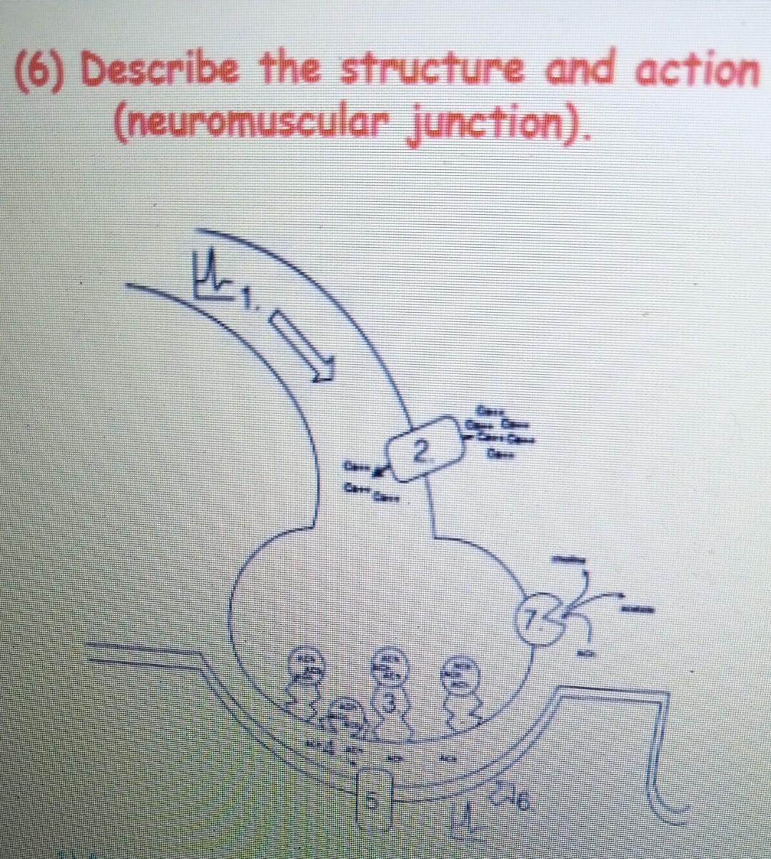 Solved Describe the structure and action in each of the 7 | Chegg.com
