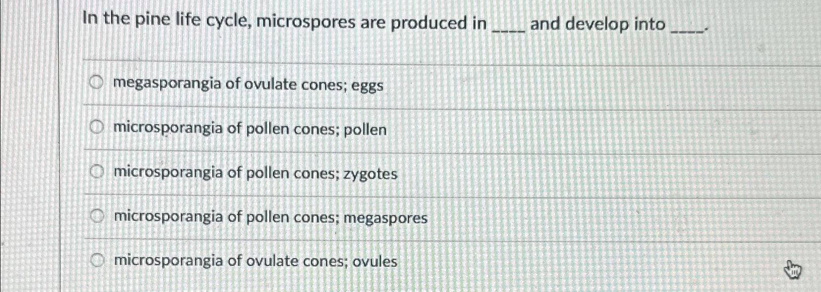 Solved In the pine life cycle, microspores are produced in | Chegg.com
