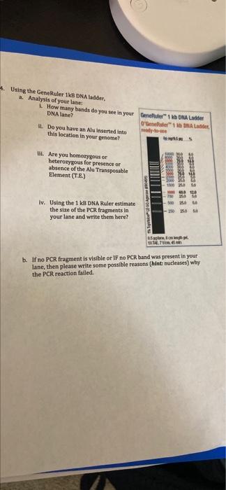 Using the GeneRuler 1kB DNA ladder, a. Analysis of | Chegg.com