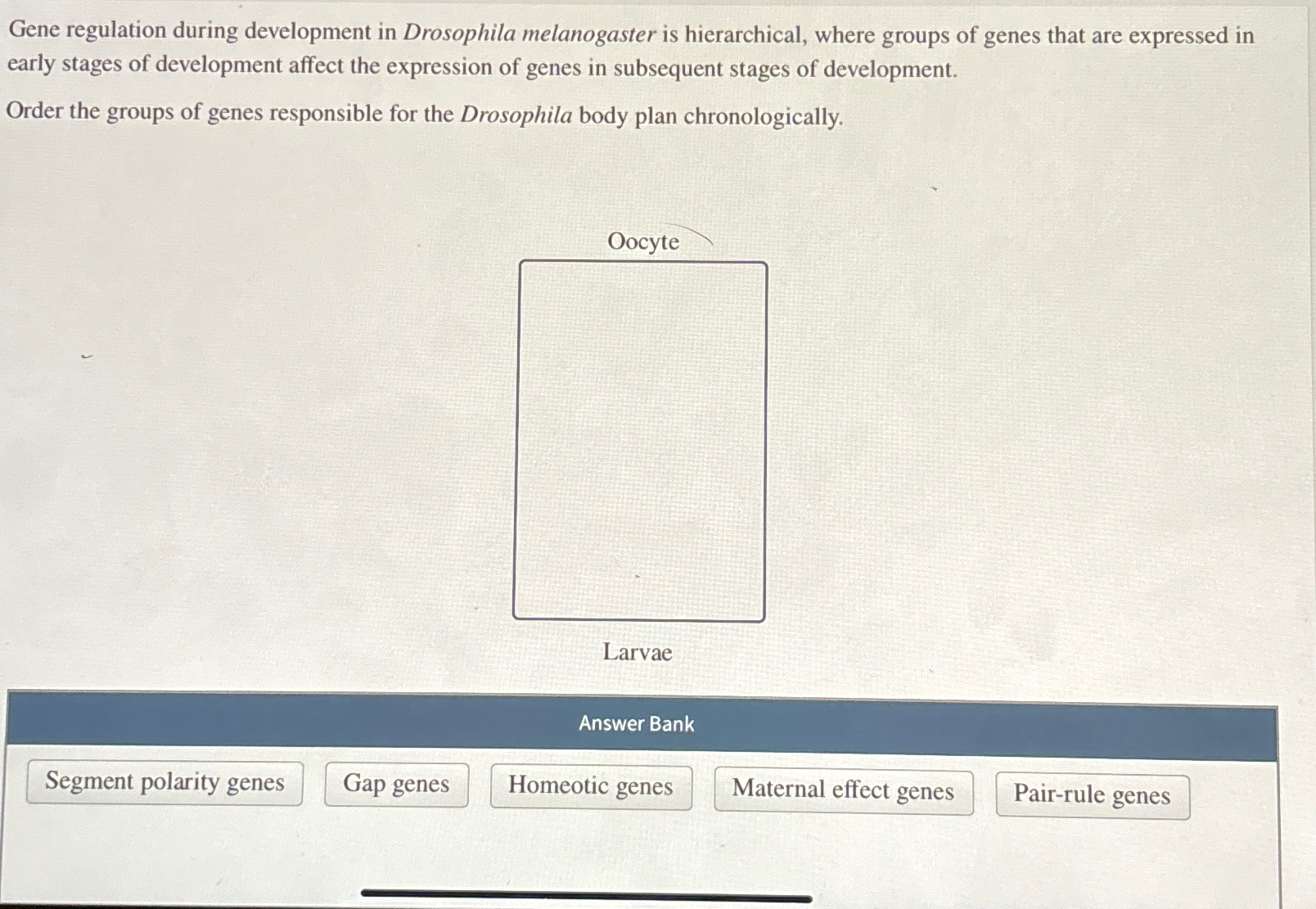 Solved Gene regulation during development in Drosophila | Chegg.com