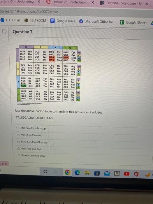 Solved Use the above codon table to translate this sequence | Chegg.com
