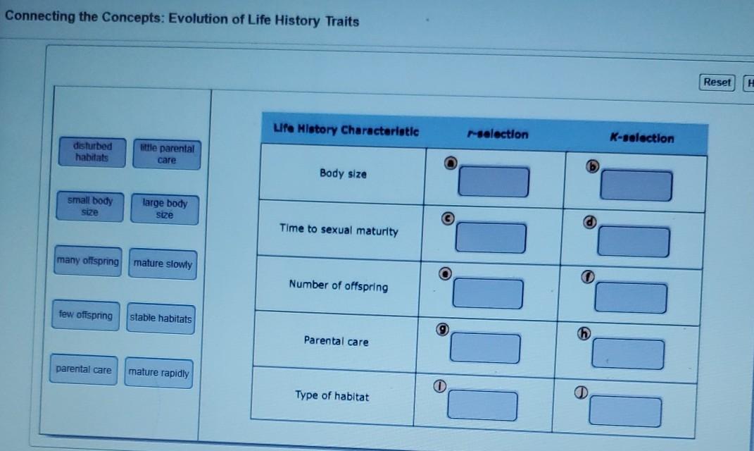 Solved Connecting the Concepts: Evolution of Life History | Chegg.com