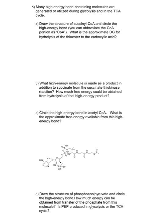 Solved a) Draw the structure of succinyl-CoA and circle the | Chegg.com