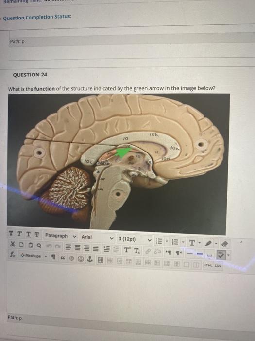 Solved QUESTION 22 What is the function of the structure | Chegg.com