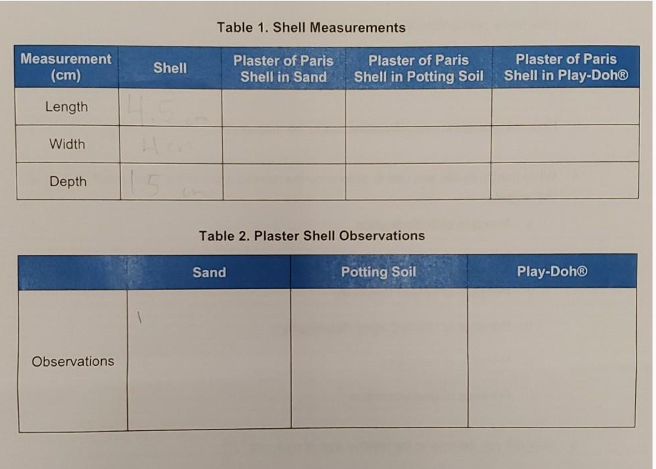 Solved Table 1. ﻿Shell | Chegg.com