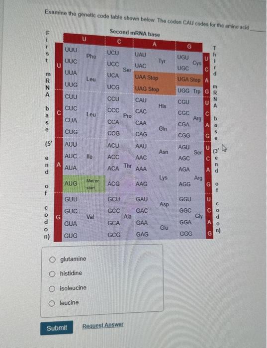 Solved Examine the genetic code table shown below. The codon | Chegg.com