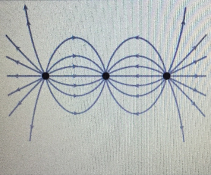 Solved what is the net charge shown in the figure? the | Chegg.com