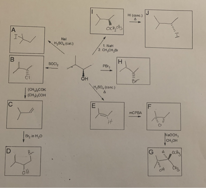 Solved For each of the conditions shown, • Predict the | Chegg.com