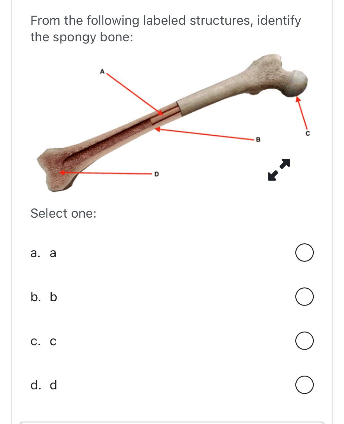 Solved From the following labeled structures, identify the | Chegg.com
