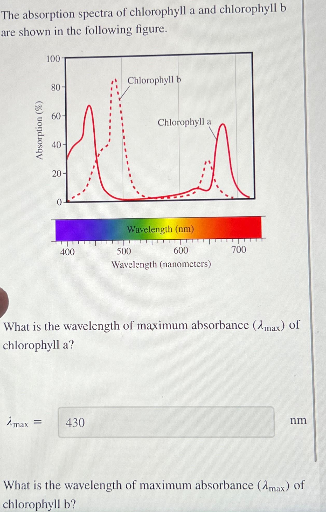 Solved The absorption spectra of chlorophyll a and | Chegg.com