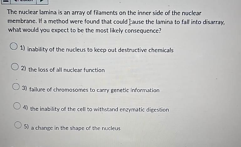 Solved The nuclear lamina is an array of filaments on the | Chegg.com