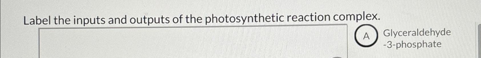 Solved Label the inputs and outputs of the photosynthetic | Chegg.com