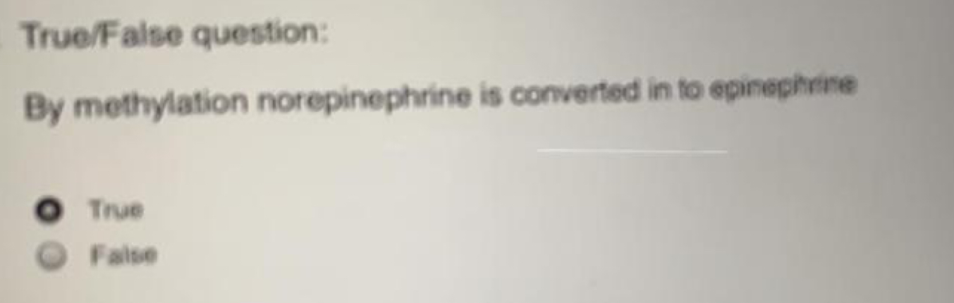 Solved True/False question:By methylation norepinephrine is | Chegg.com