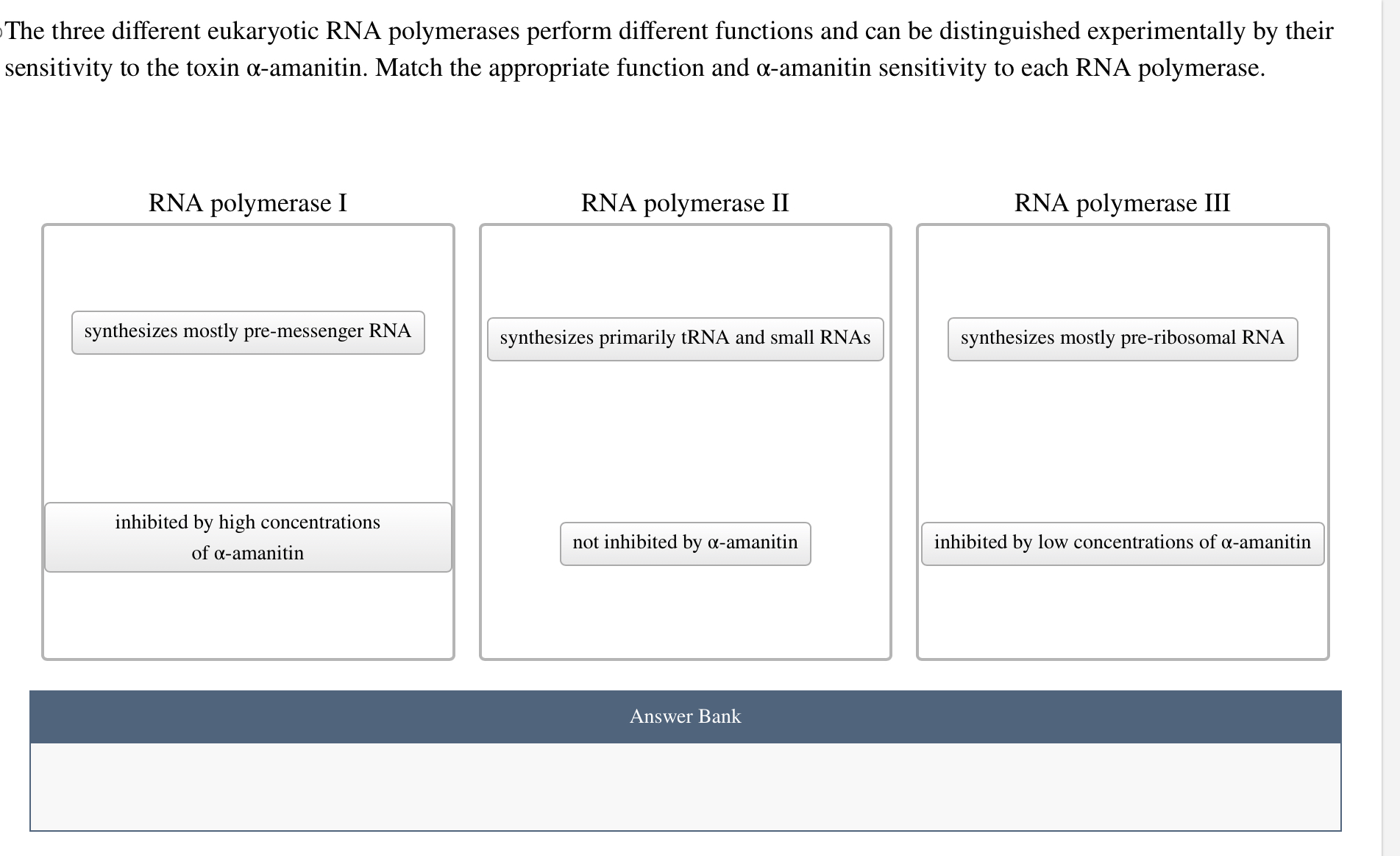 Solved The three different eukaryotic RNA polymerases | Chegg.com