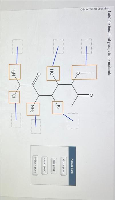 Solved Label the functional groups in the molecule. | Chegg.com