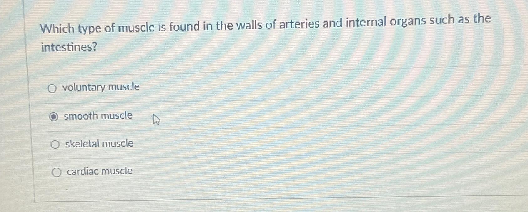 Solved Which type of muscle is found in the walls of | Chegg.com