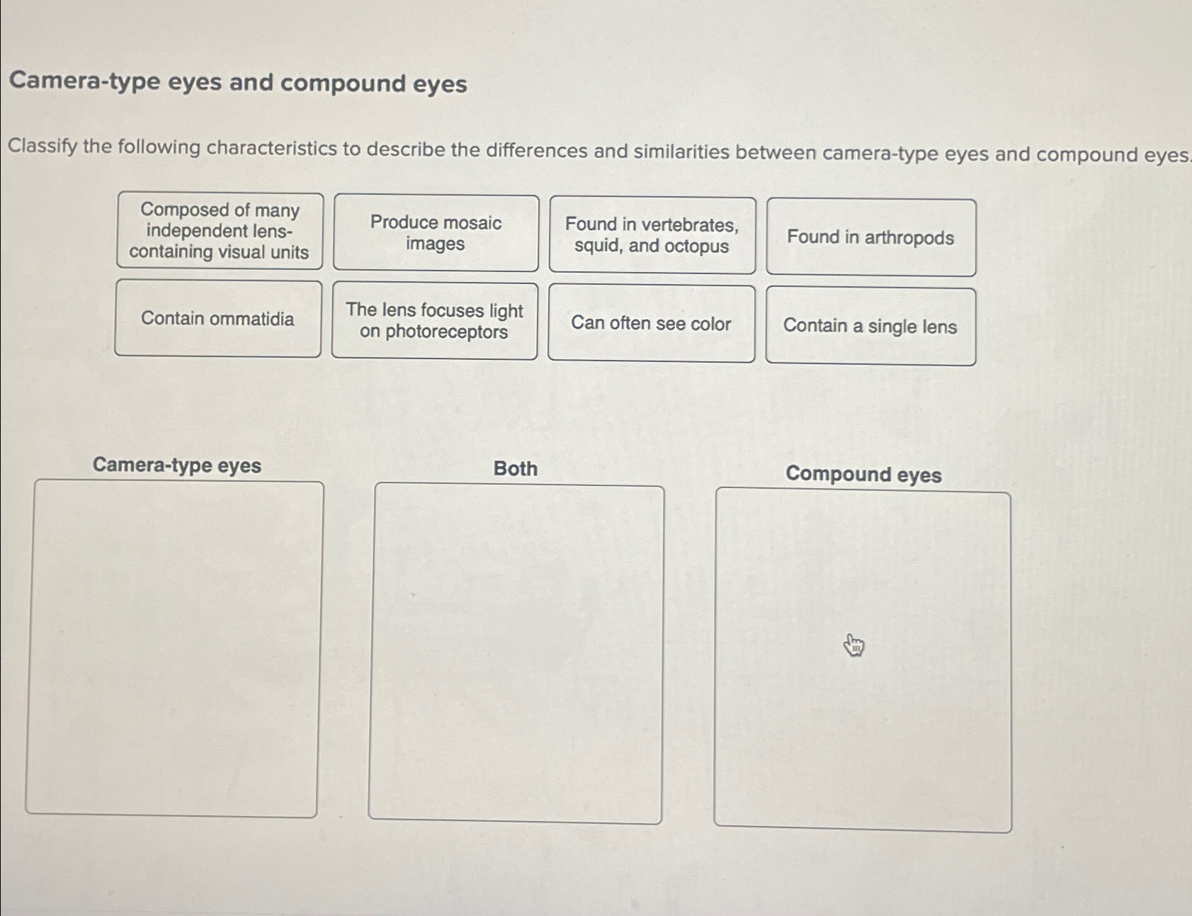 Solved Camera-type eyes and compound eyesClassify the | Chegg.com