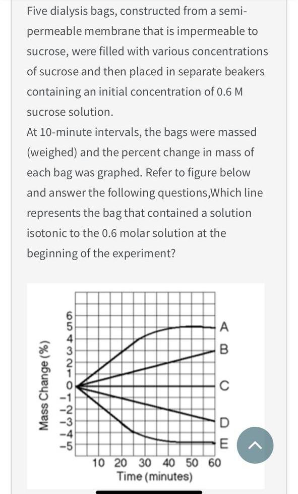 Solved Five dialysis bags, constructed from a semi- | Chegg.com
