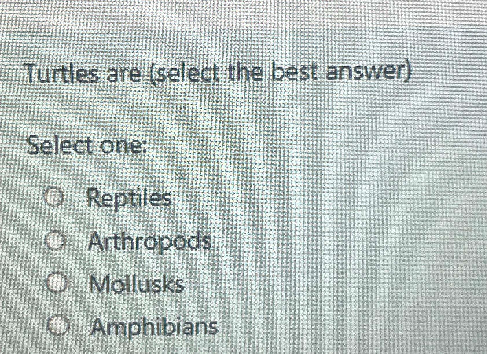 Solved Turtles are (select the best answer)Select | Chegg.com