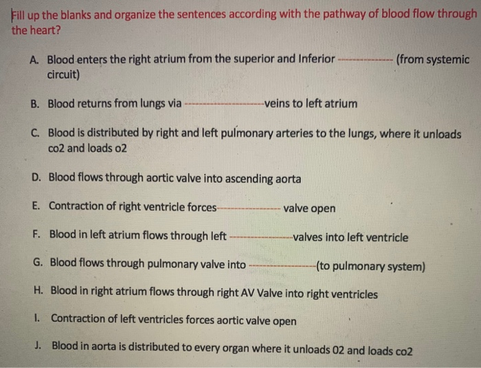 Solved Fill up the blanks and organize the sentences | Chegg.com