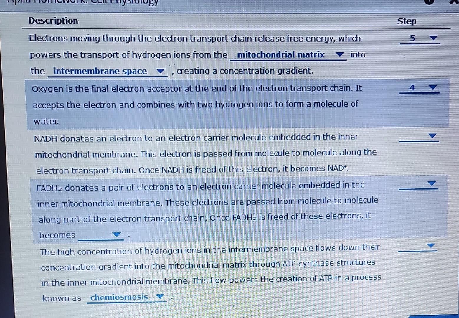 Solved \begin{tabular}{lr} \hline Description & Step \\ | Chegg.com