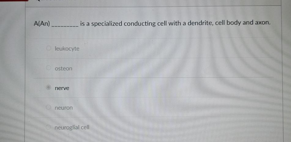 Solved A(An) ﻿is a specialized conducting cell with a | Chegg.com