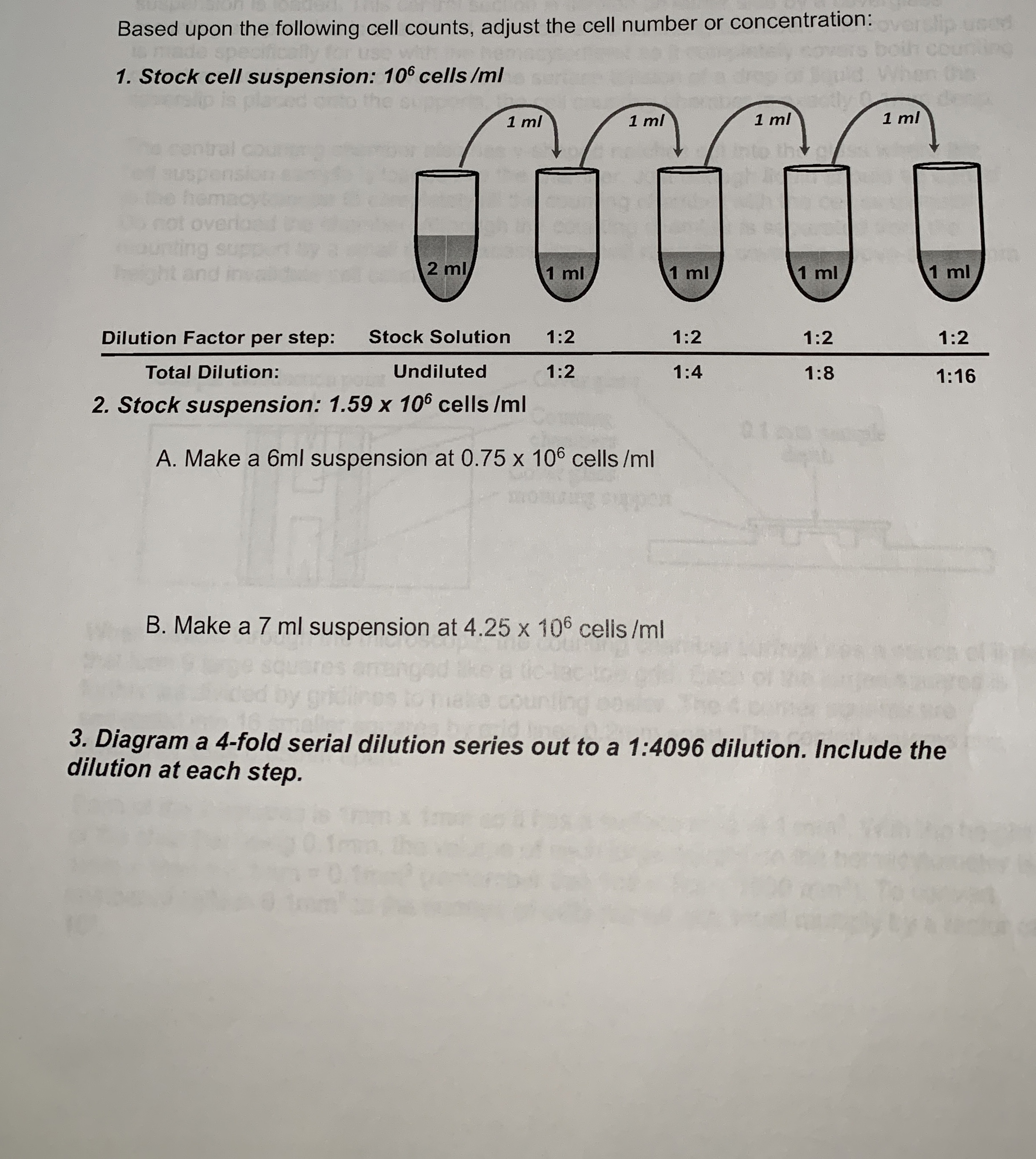 Solved Based upon the following cell counts, adjust the cell | Chegg.com