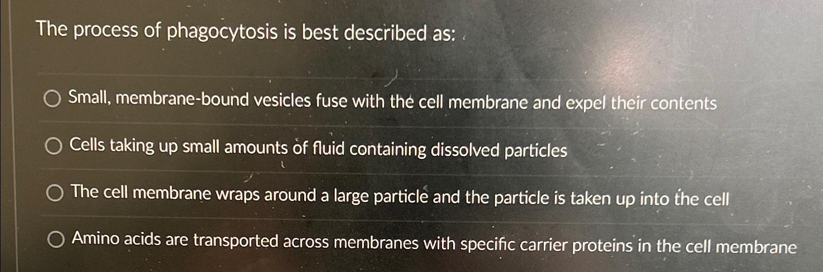 Solved The process of phagocytosis is best described | Chegg.com
